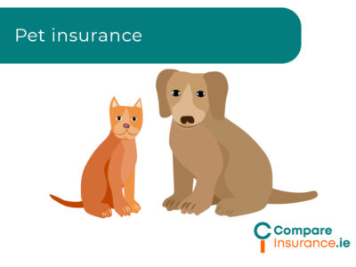 Pet Insurance Quotes | CompareInsurance.ie